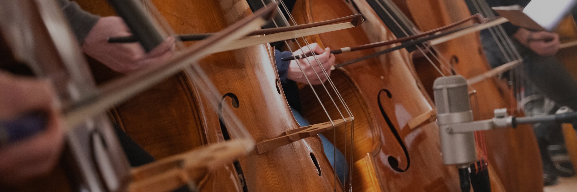 string instrument background