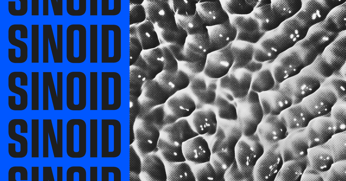 Orchestral Tools - Sinoid - Virtual Instrument