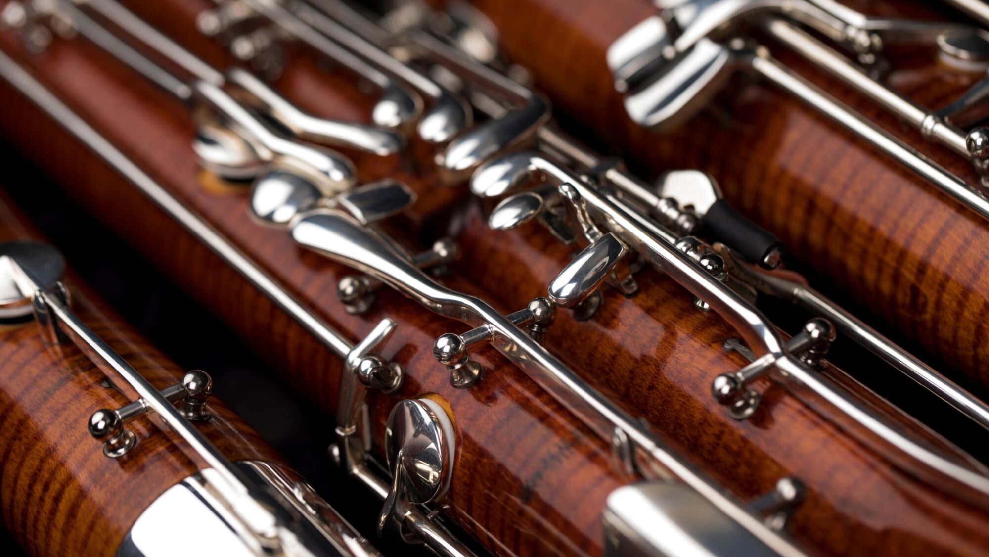 Orchestral Tools - Berlin Woodwinds Soloists 2 - Virtual Instruments